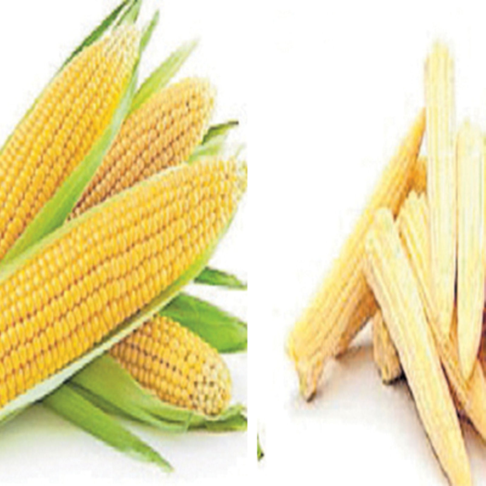 how to make baby corn in kannada