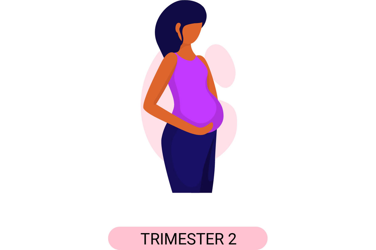 Month 2 - 1st Trimester | Daily Nation